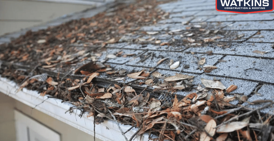 How Do Leaves and Debris Effect Your Roof - Mississippi